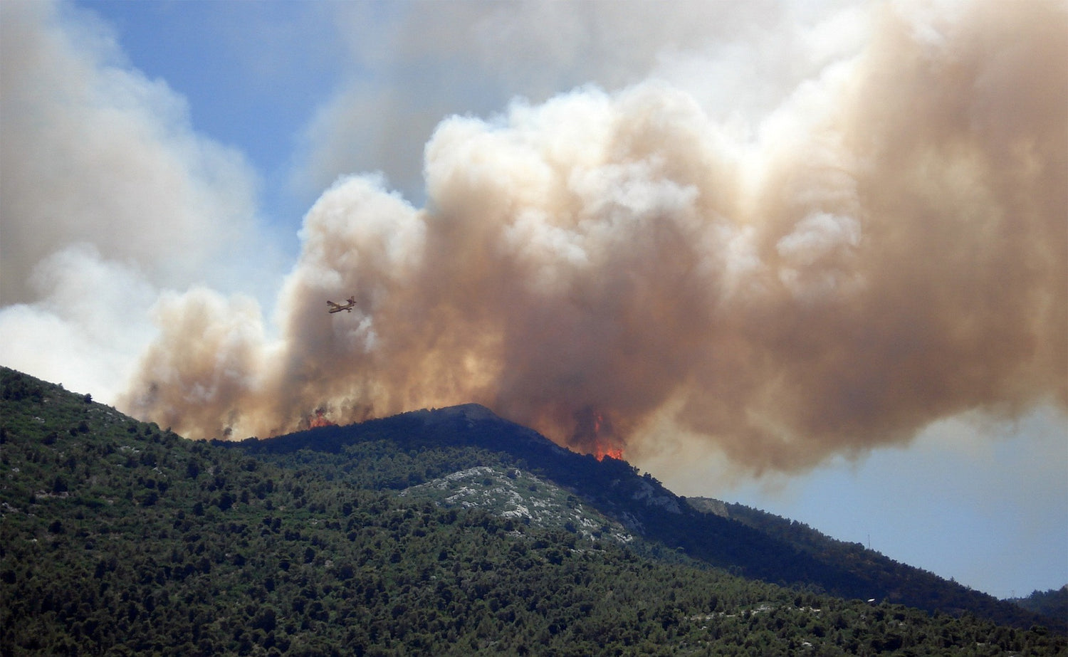 Preparing for Emergencies: The Importance of Evacuation Plans During E ...